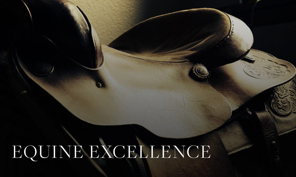 Equine Excellence | Living the Equestrian Lifestyle - Sotheby´s ...